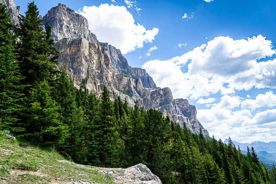 Castle Mountain Lookout Hike in Banff National Park - Travel Banff Canada
