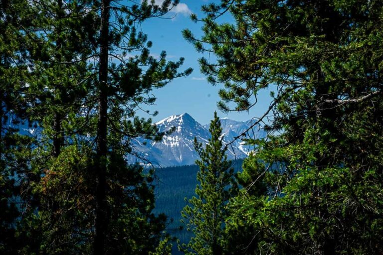 Castle Mountain Lookout Hike in Banff National Park - Travel Banff Canada