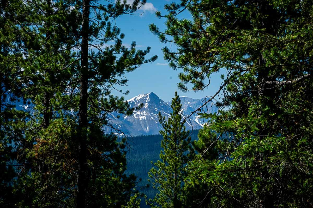 Castle Mountain Lookout Hike in Banff National Park - Travel Banff Canada