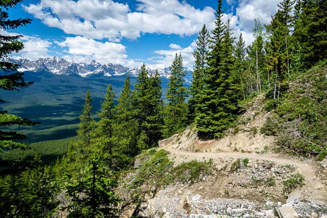 Castle Mountain Lookout Hike in Banff National Park - Travel Banff Canada