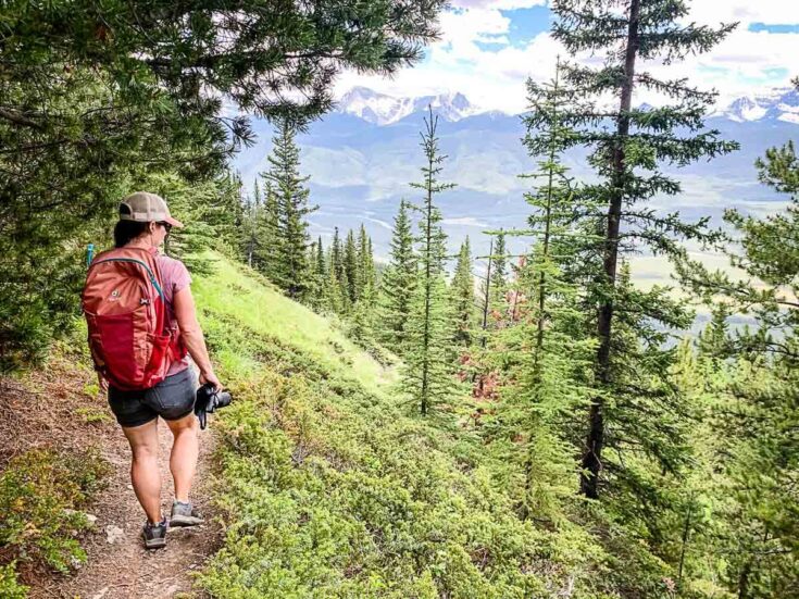 Castle Mountain Lookout Hike in Banff National Park - Travel Banff Canada