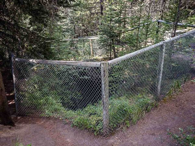 Hiking the C Level Cirque Trail in Banff National Park - Travel Banff ...