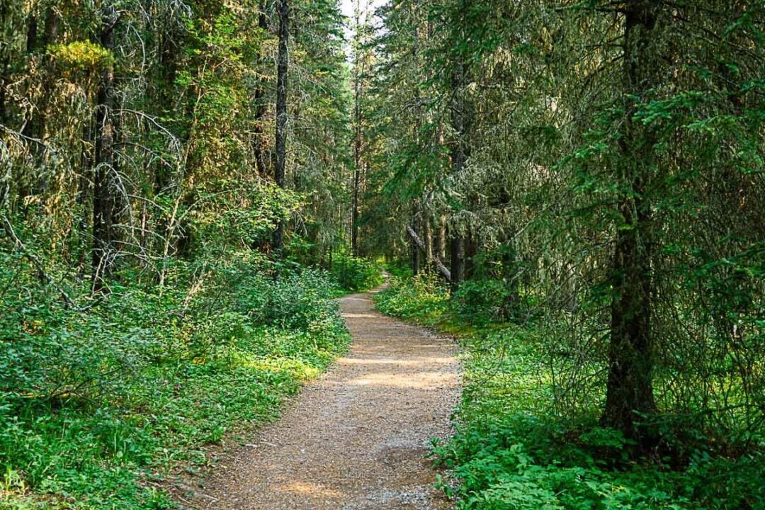 Hiking the C Level Cirque Trail in Banff National Park - Travel Banff ...