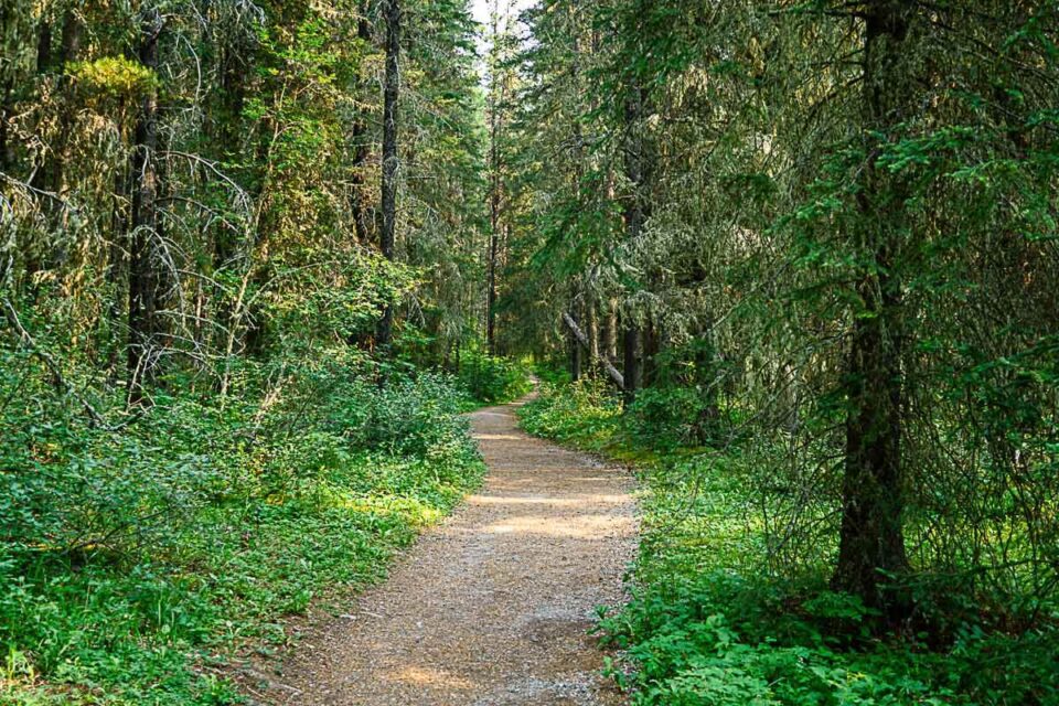Hiking the C Level Cirque Trail in Banff National Park - Travel Banff ...