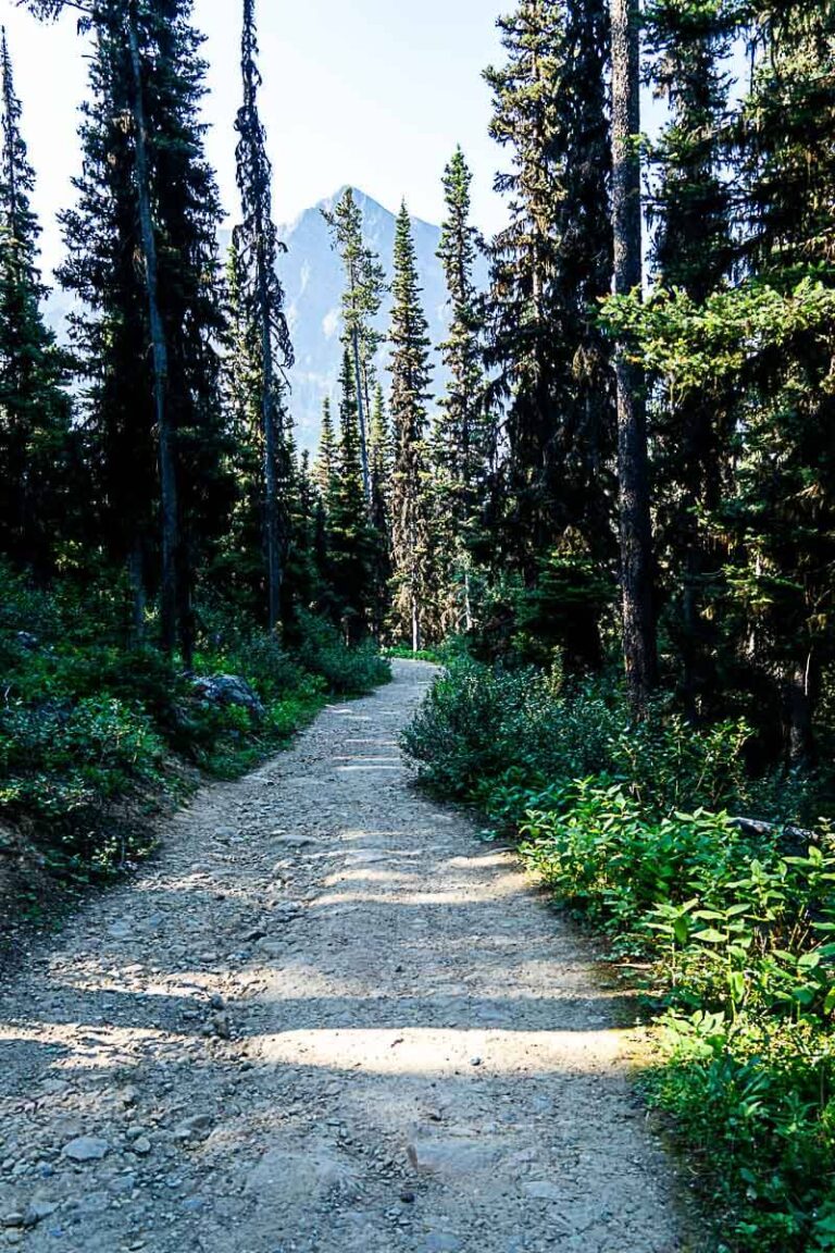 Hiking to Boom Lake in Banff National Park - Travel Banff Canada