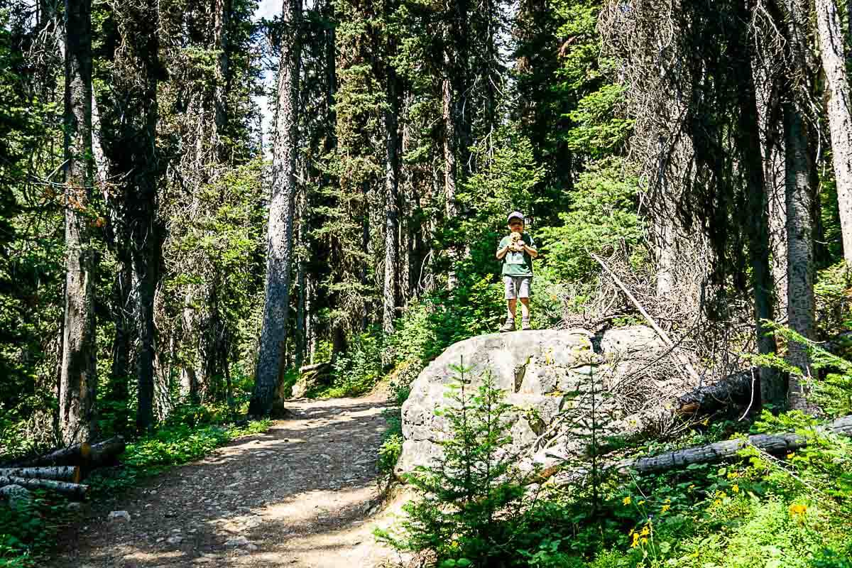 Hiking to Boom Lake in Banff National Park - Travel Banff Canada