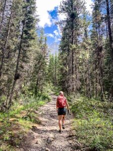 Castle Mountain Lookout Hike in Banff National Park - Travel Banff Canada