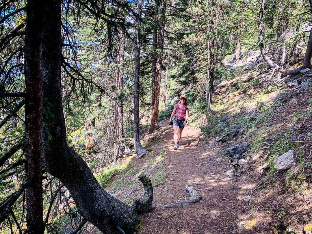 Castle Mountain Lookout Hike in Banff National Park - Travel Banff Canada