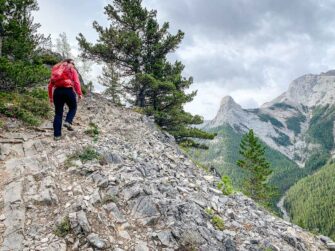 Wasootch Ridge Hike in Kananaskis - Travel Banff Canada