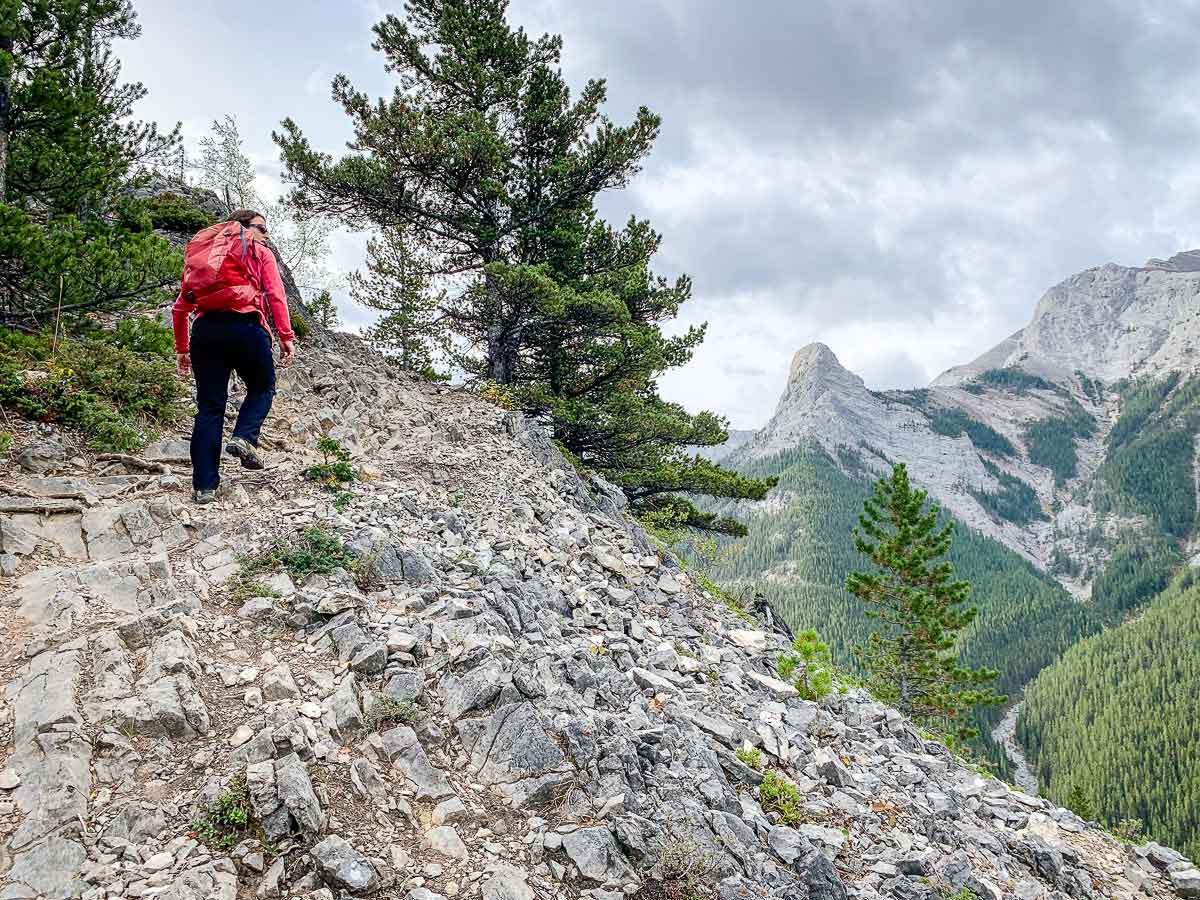 Wasootch Ridge Hike in Kananaskis - Travel Banff Canada