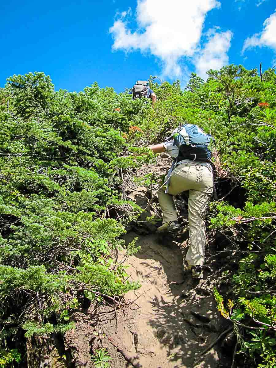 Sarrail Ridge Hike in Kananaskis - Travel Banff Canada