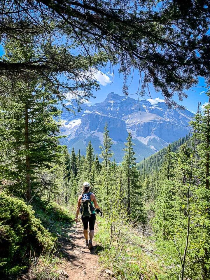 Aylmer Lookout Trail in Banff National Park - Travel Banff Canada