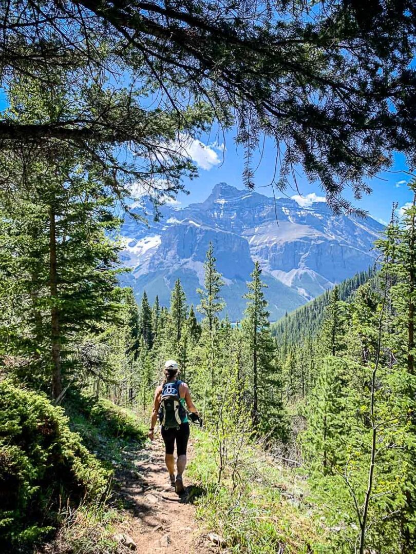 Aylmer Lookout Trail in Banff National Park - Travel Banff Canada