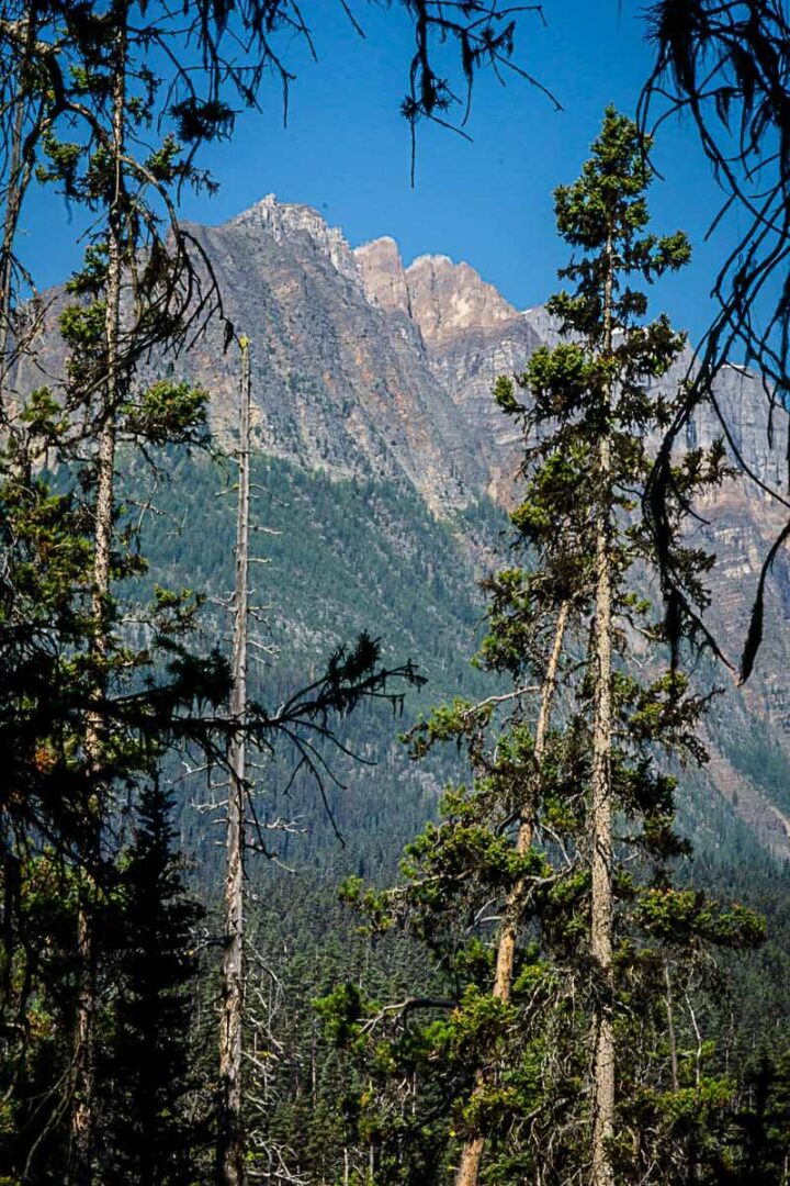 Hiking to Boom Lake in Banff National Park - Travel Banff Canada
