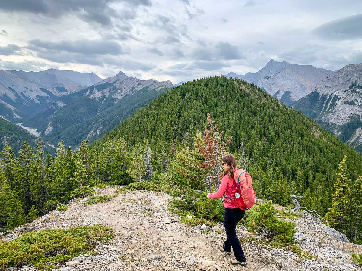 Sarrail Ridge Hike in Kananaskis - Travel Banff Canada