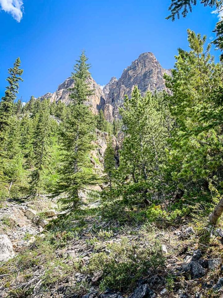 Castle Mountain Lookout Hike in Banff National Park - Travel Banff Canada