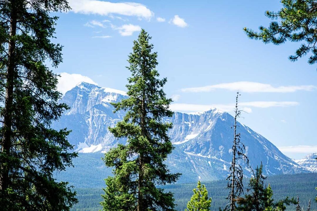Castle Mountain Lookout Hike in Banff National Park - Travel Banff Canada