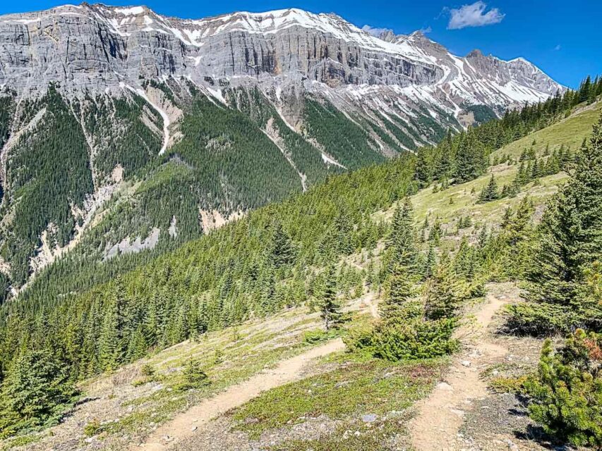 Aylmer Lookout Trail in Banff National Park - Travel Banff Canada
