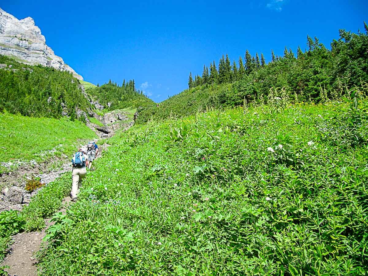 Sarrail Ridge Hike in Kananaskis - Travel Banff Canada