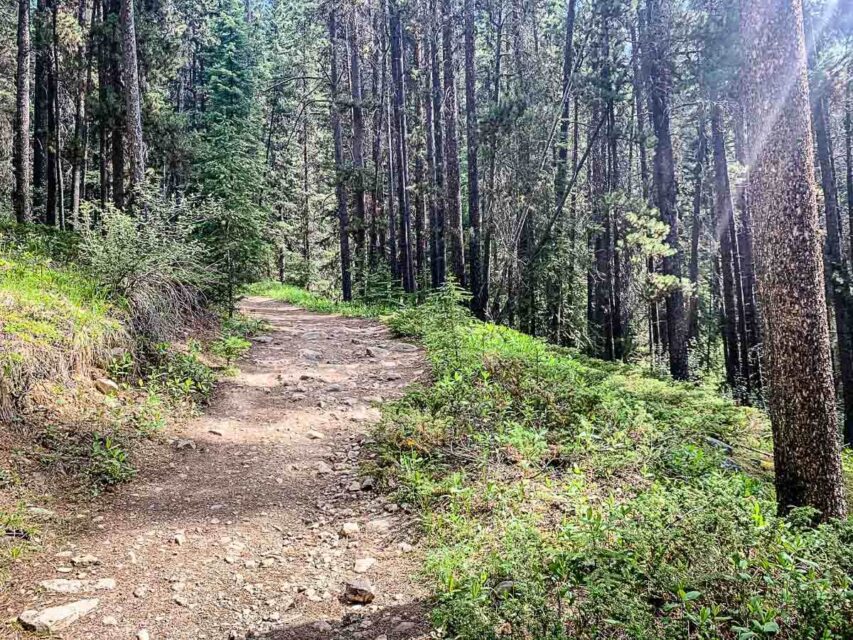 Castle Mountain Lookout Hike in Banff National Park - Travel Banff Canada