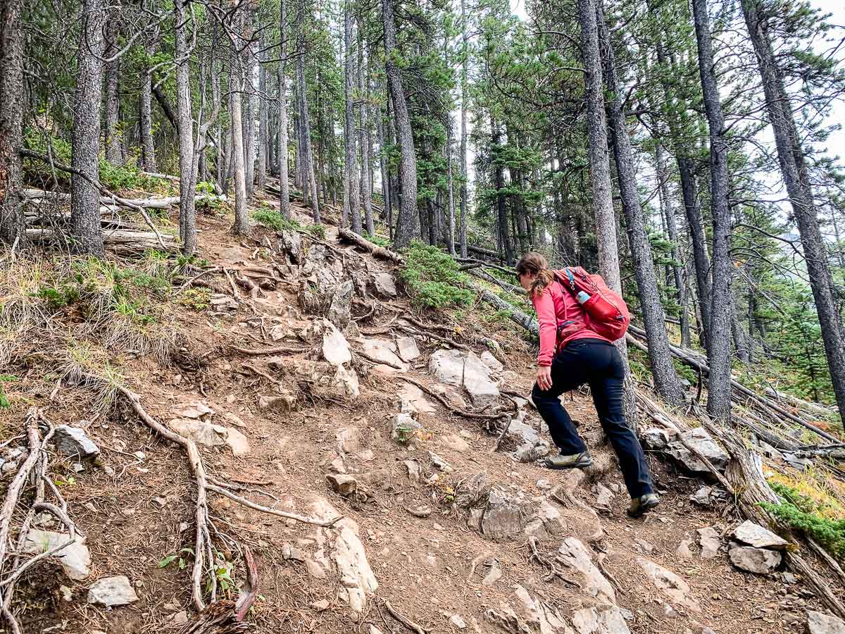 Wasootch Ridge Hike in Kananaskis - Travel Banff Canada