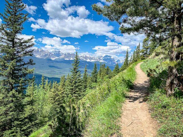 Castle Mountain Lookout Hike in Banff National Park - Travel Banff Canada