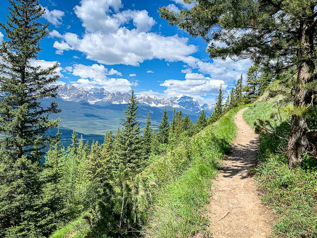 Castle Mountain Lookout Hike in Banff National Park - Travel Banff Canada