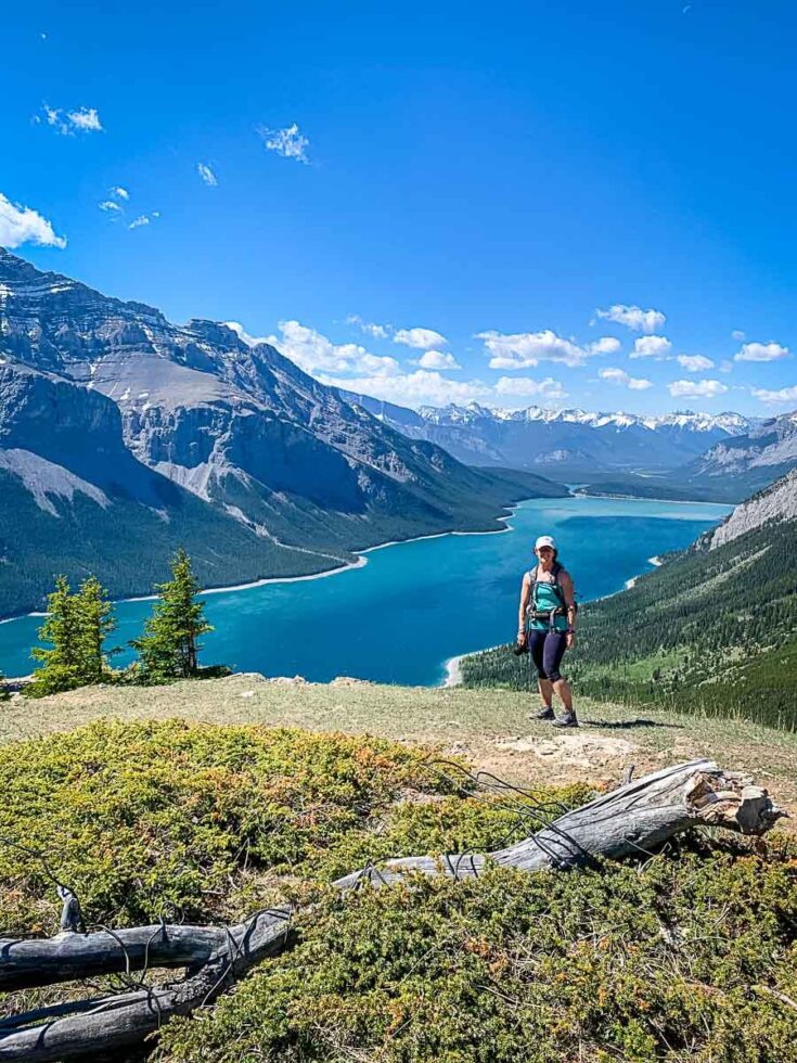 Aylmer Lookout Trail in Banff National Park - Travel Banff Canada