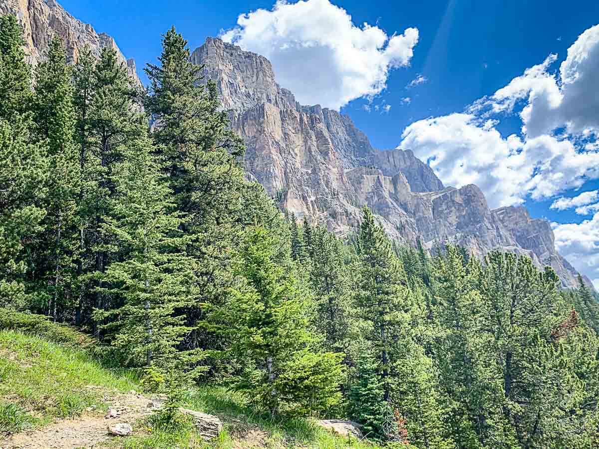 Castle Mountain Lookout Hike in Banff National Park - Travel Banff Canada