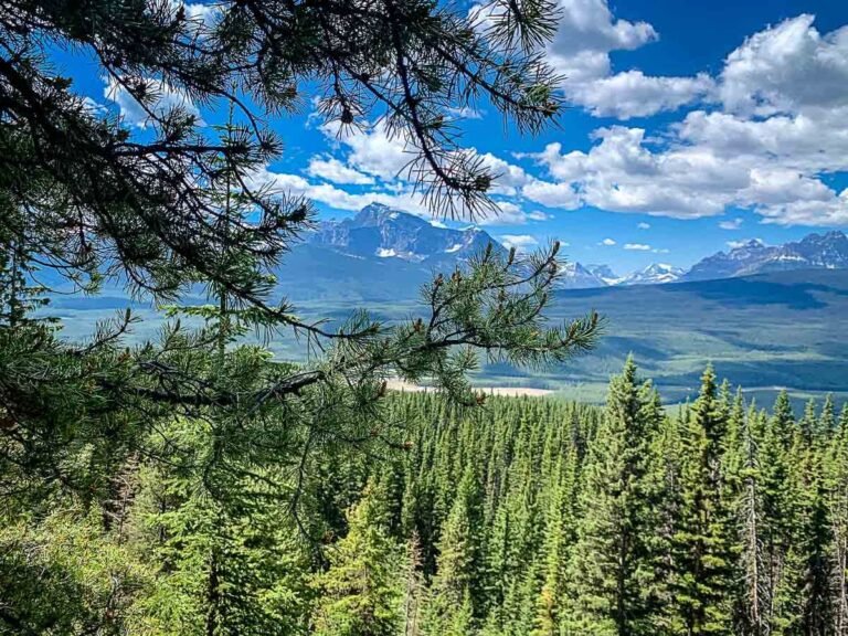 Castle Mountain Lookout Hike in Banff National Park - Travel Banff Canada