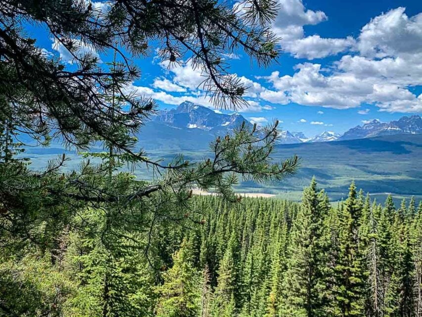 Castle Mountain Lookout Hike in Banff National Park - Travel Banff Canada