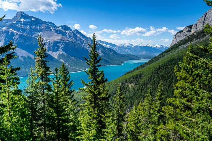Aylmer Lookout Trail in Banff National Park - Travel Banff Canada