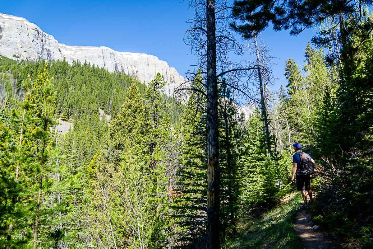 Aylmer Lookout Trail in Banff National Park - Travel Banff Canada