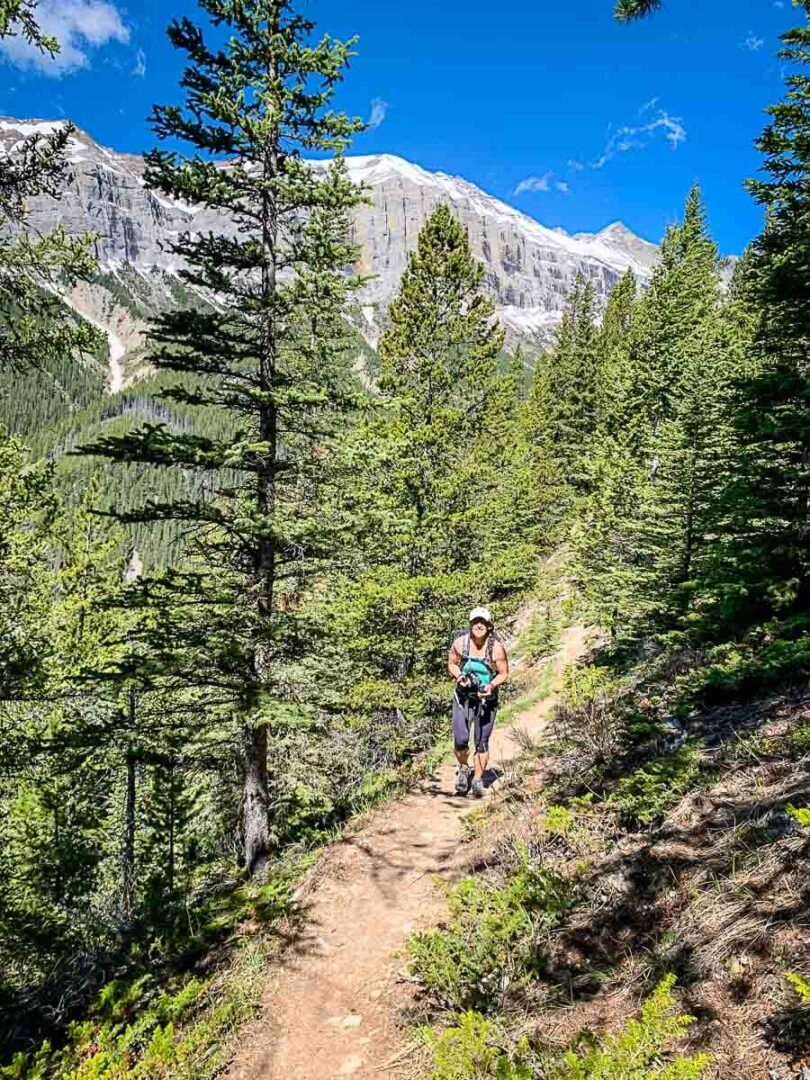 Aylmer Lookout Trail in Banff National Park - Travel Banff Canada
