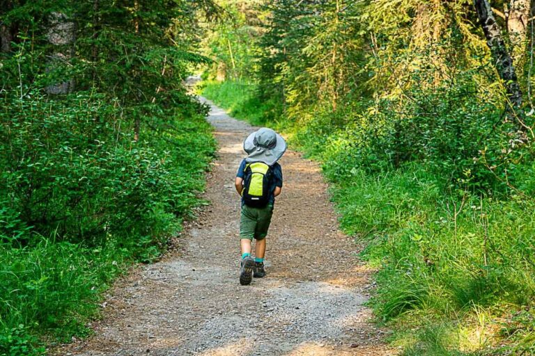 Hiking the C Level Cirque Trail in Banff National Park - Travel Banff ...