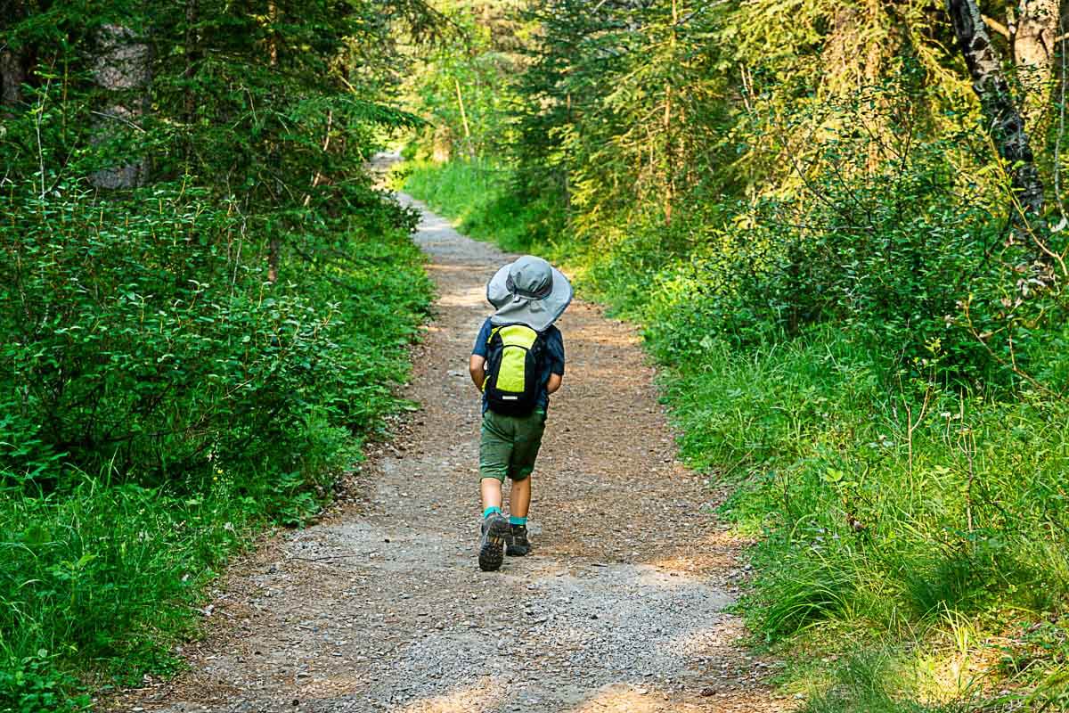 Hiking the C Level Cirque Trail in Banff National Park - Travel Banff ...