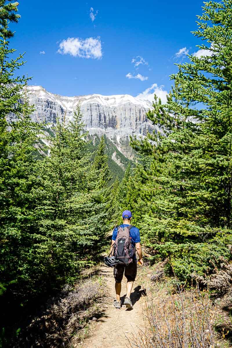 Aylmer Lookout Trail in Banff National Park - Travel Banff Canada