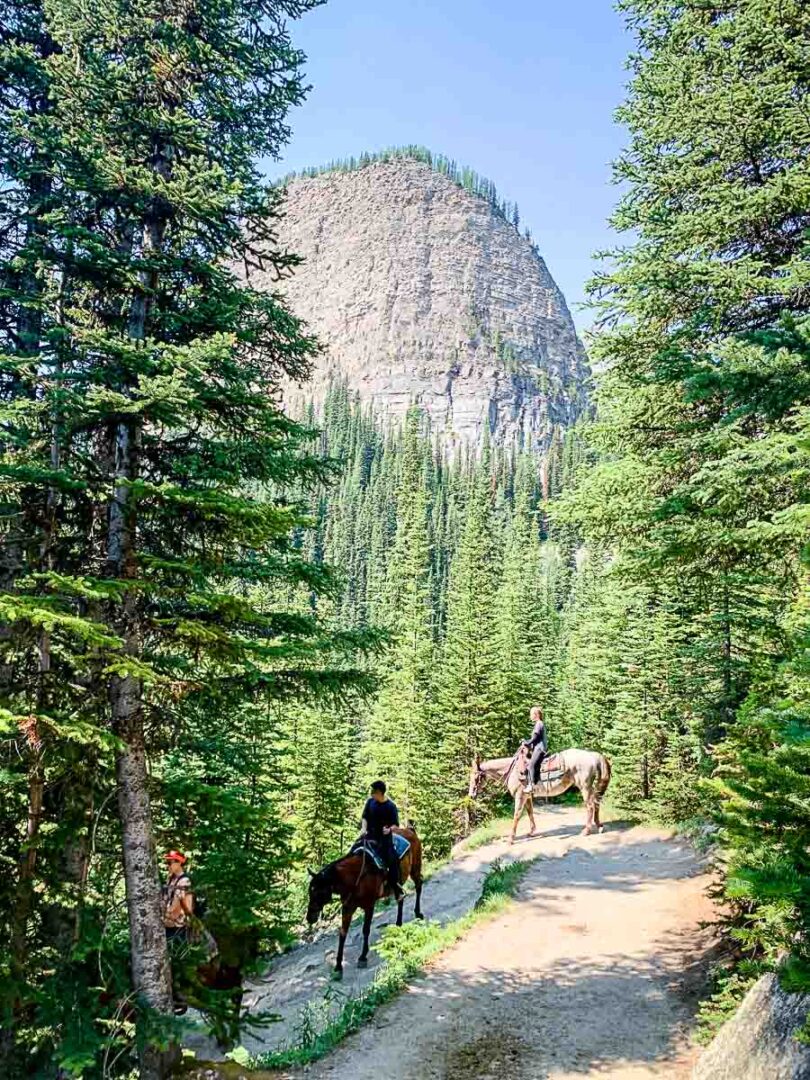 Lake Agnes Tea House Hike - A MUST-DO Lake Louise Hike - Travel Banff ...