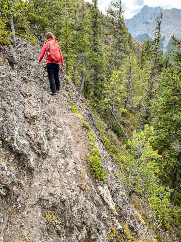 Wasootch Ridge Hike in Kananaskis - Travel Banff Canada
