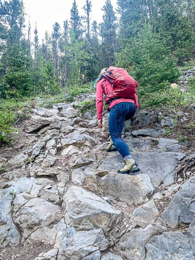 Wasootch Ridge Hike in Kananaskis - Travel Banff Canada