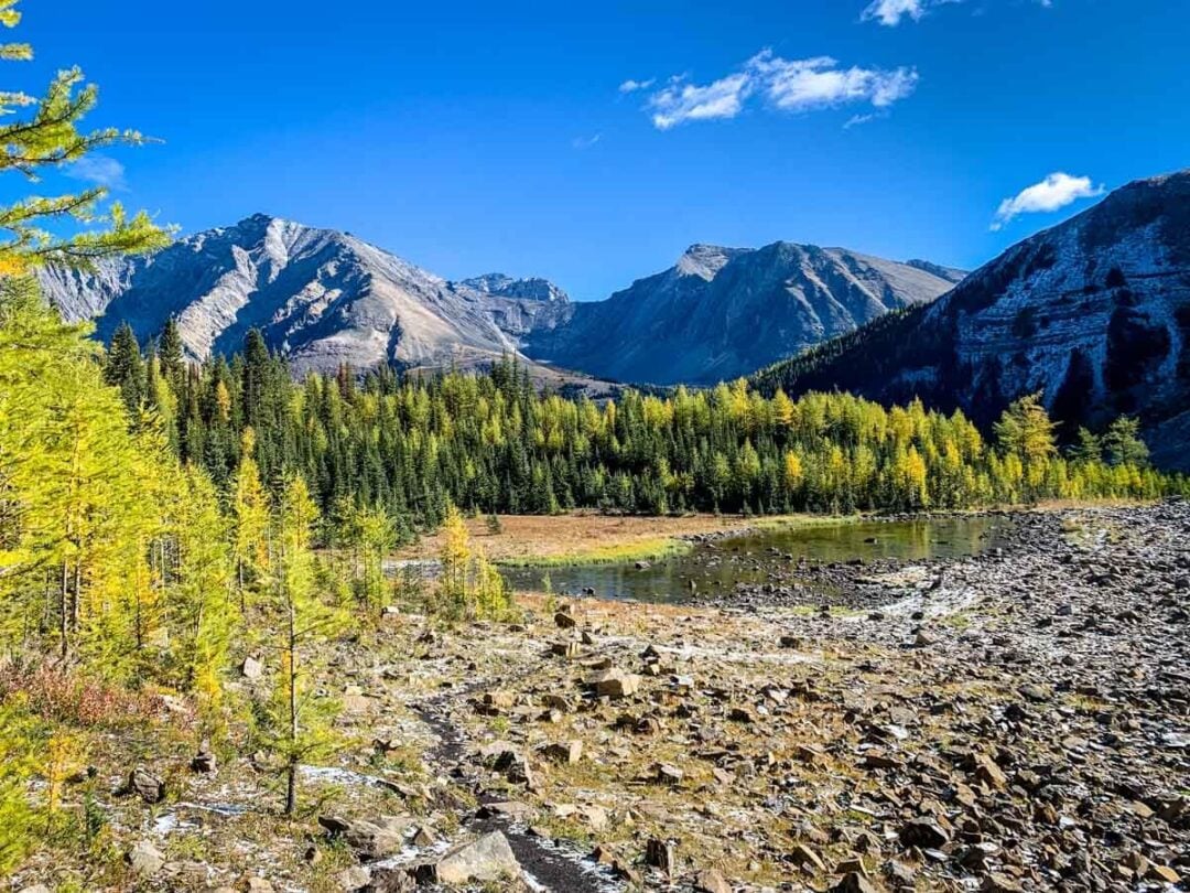 Pocaterra Ridge Trail in Kananaskis - Travel Banff Canada