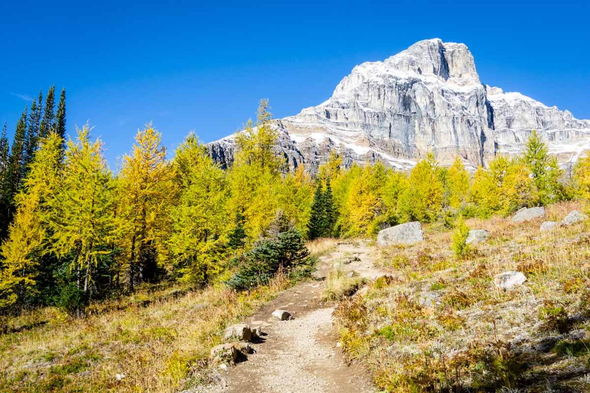 Larch Valley Hike in Banff National Park (Updated for 2025) - Travel ...