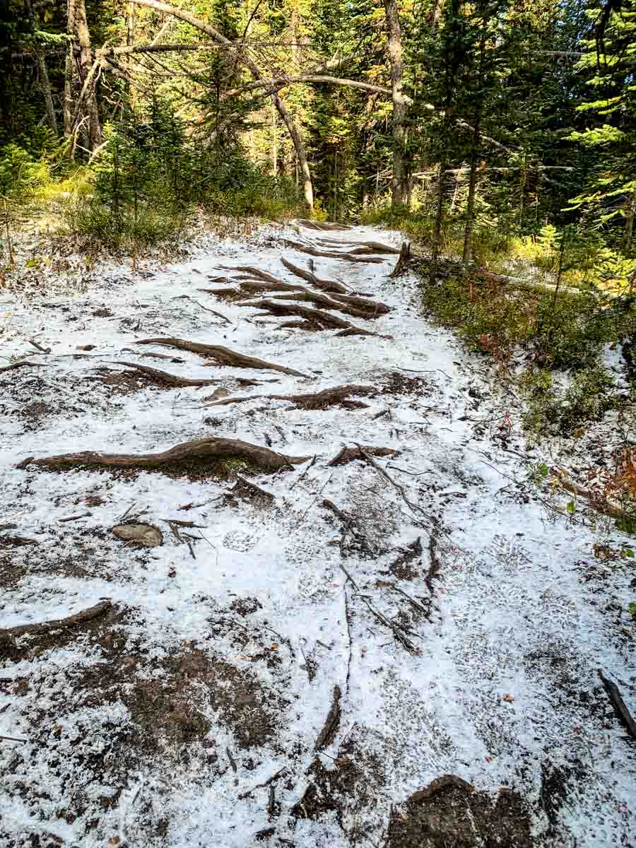 Pocaterra Ridge Trail in Kananaskis - Travel Banff Canada