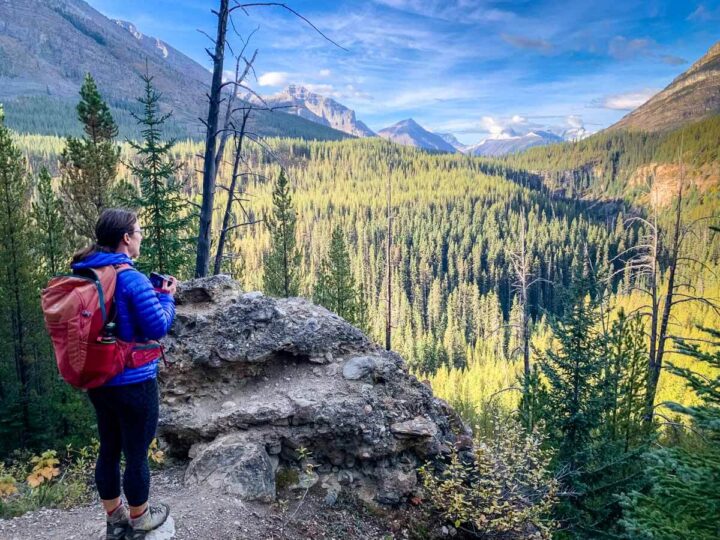 Arnica Lake Trail in Banff National Park - Travel Banff Canada