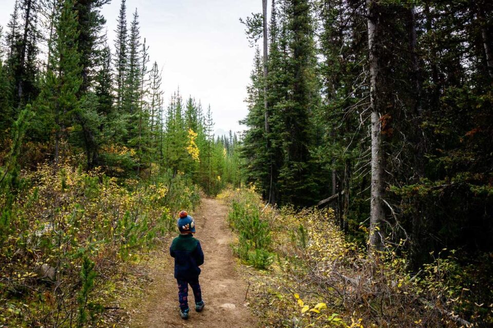 Rummel Lake Hike in Kananaskis - Travel Banff Canada