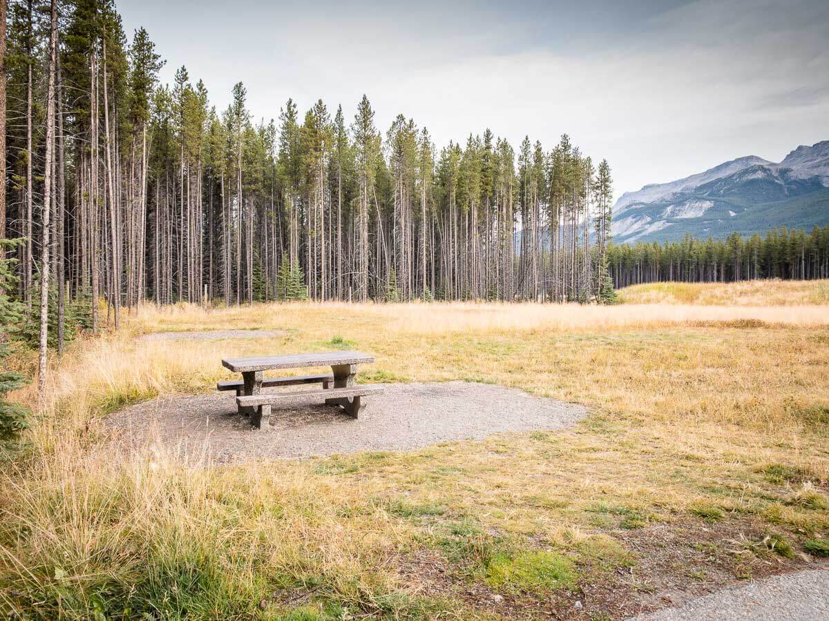 Taylor Lake Hike in Banff National Park - Travel Banff Canada