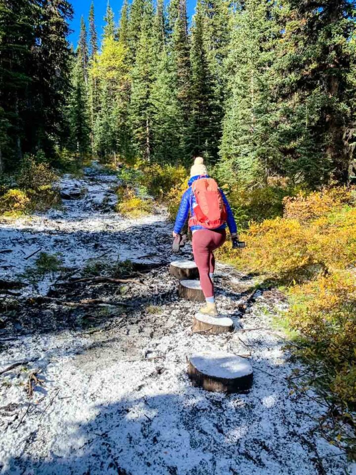 Pocaterra Ridge Trail in Kananaskis - Travel Banff Canada