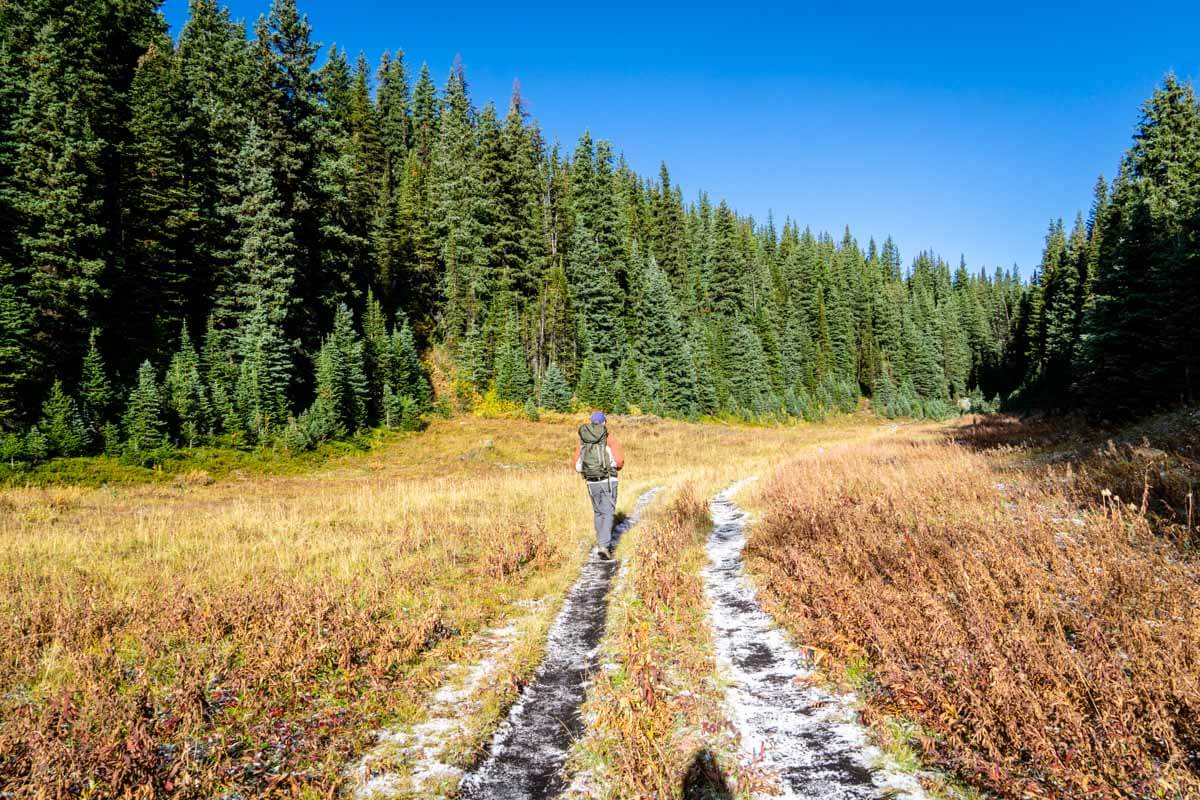 Pocaterra Ridge Trail in Kananaskis - Travel Banff Canada