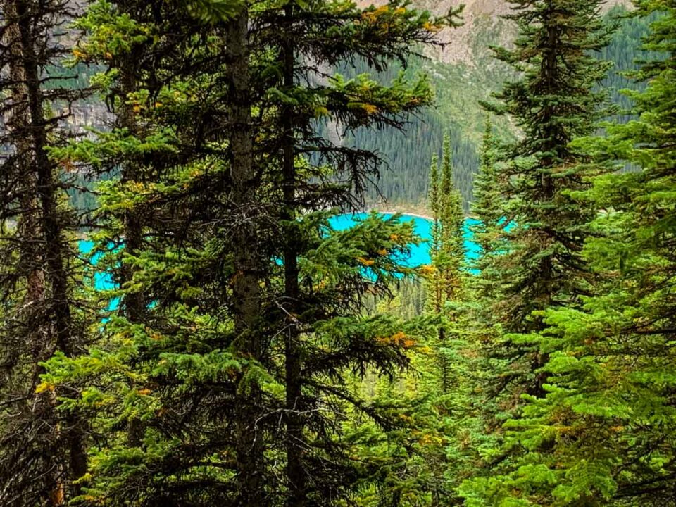 Larch Valley Hike in Banff National Park (Updated for 2025) - Travel ...