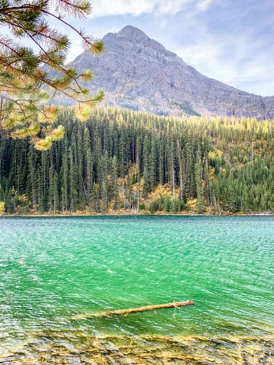 Twin Lakes Trail in Banff National Park - Travel Banff Canada
